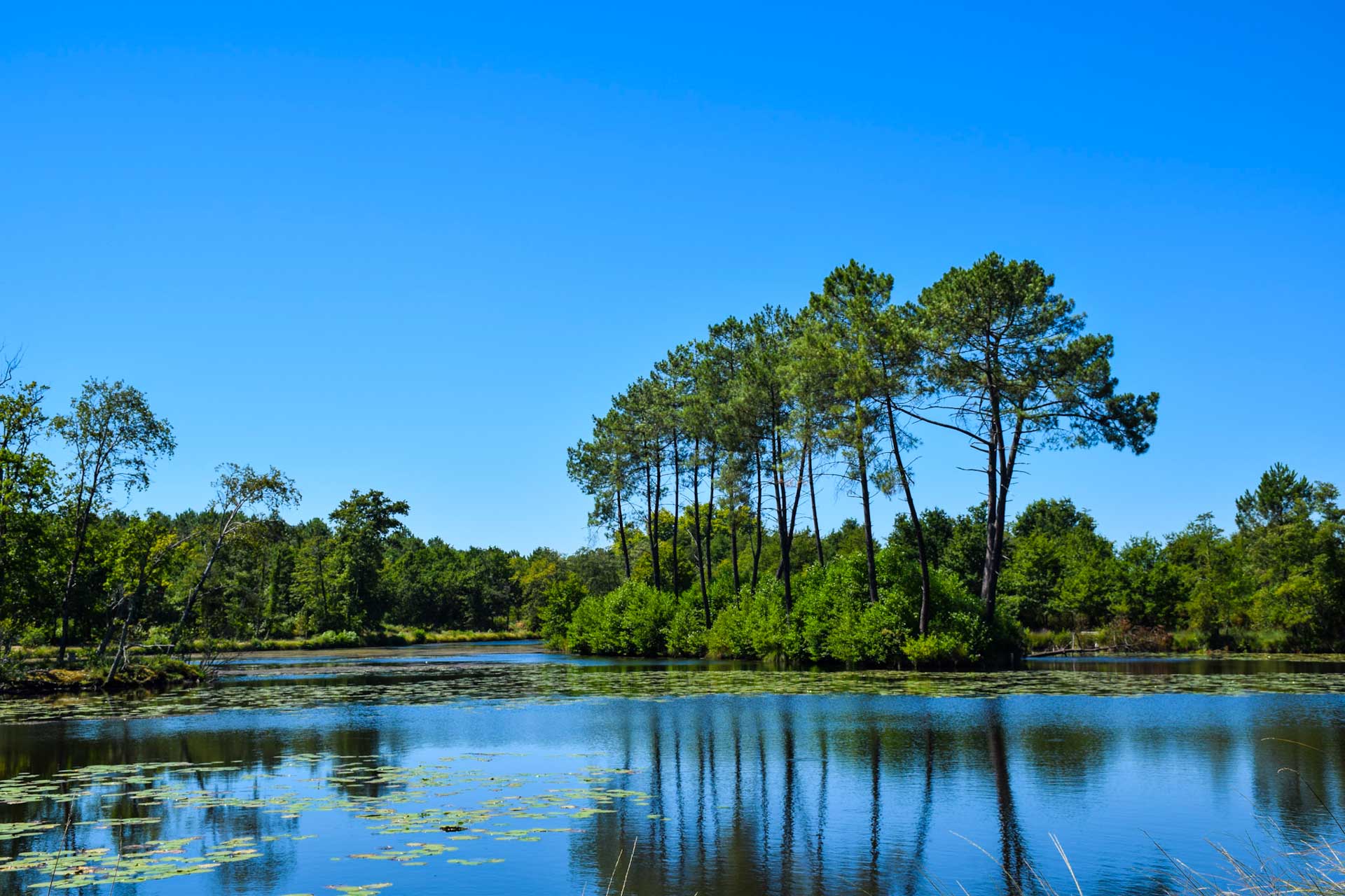 Jardins et espaces naturels à Dax et ses alentours - Tourisme Dax (40)